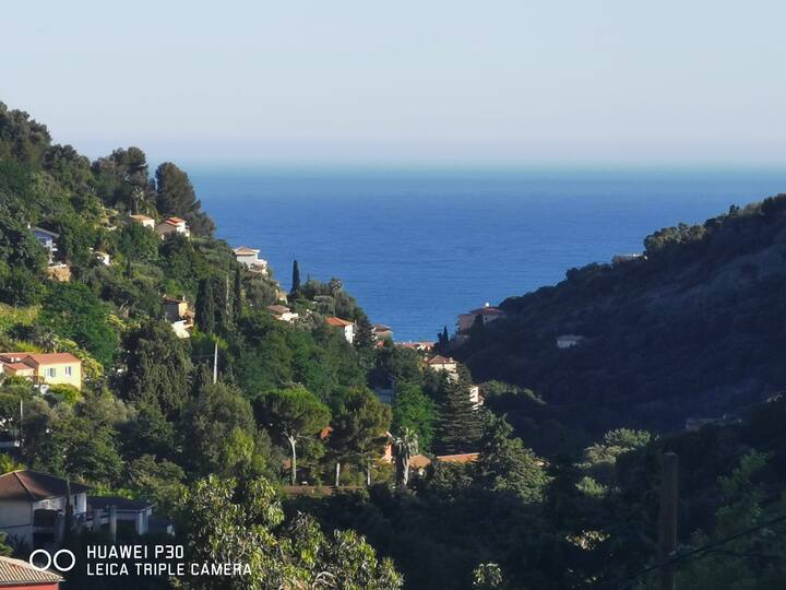 Dans Villa Provençale: Grand 3 Pièces + Terrasse - Plage Rondelli (Menton)