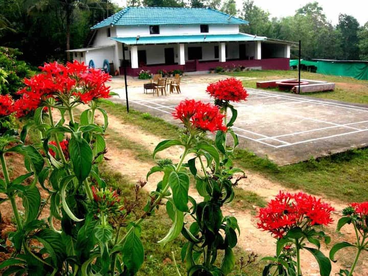 Coffee Grove Homestay - Belur