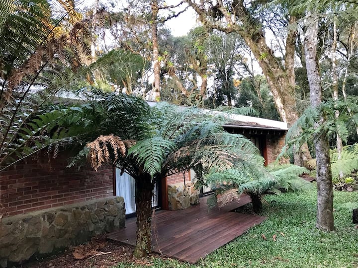 Casa Da Floresta - São Francisco de Paula