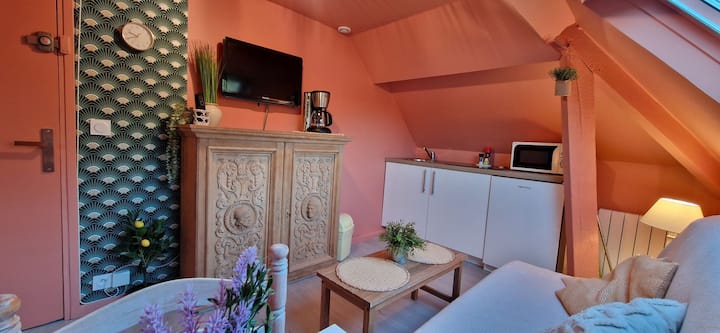 Charmant & Atypique Avec Chambre Séparée En Centre - Dunkirk