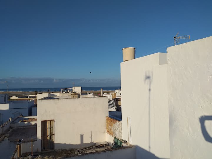 Sauceda - Conil de la Frontera