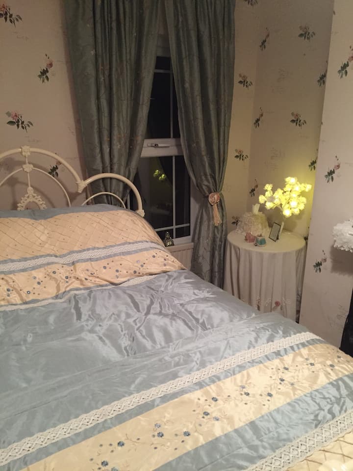 Cozy Double,workspace,hiking Trails,universities. - Belfast