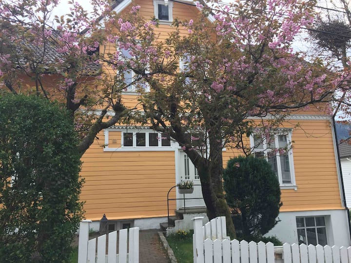 Moderne Leilighet I Koselig Hus - Bergen, Norway