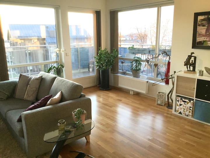 ÅPen, Lys Og Usjenert Leilighet! - Oslo