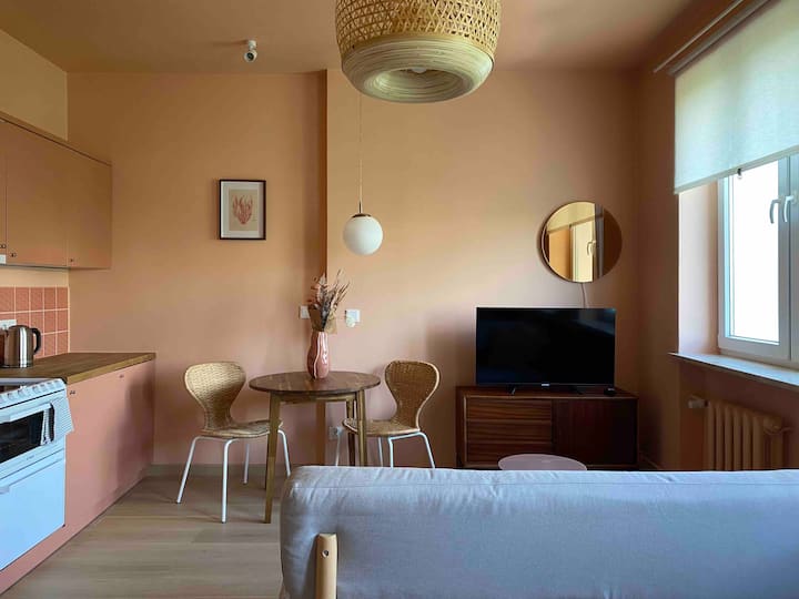 Cosy, Renovated Studio Near City Center - Varsovia