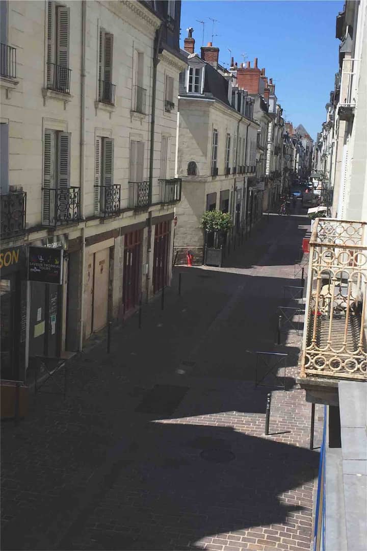 Charmant Ancien Au Cœur De La Ville - Tours