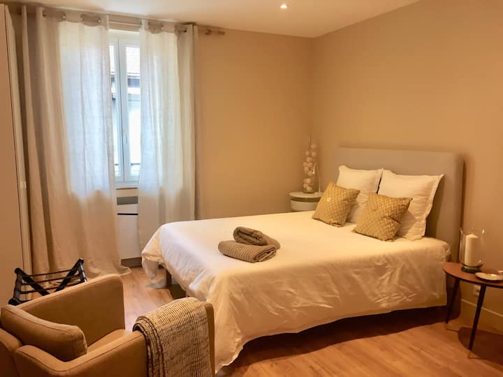 Cosy Appart Refait à Neuf: 2 Ch + Parking Sécurisé - 그르노블