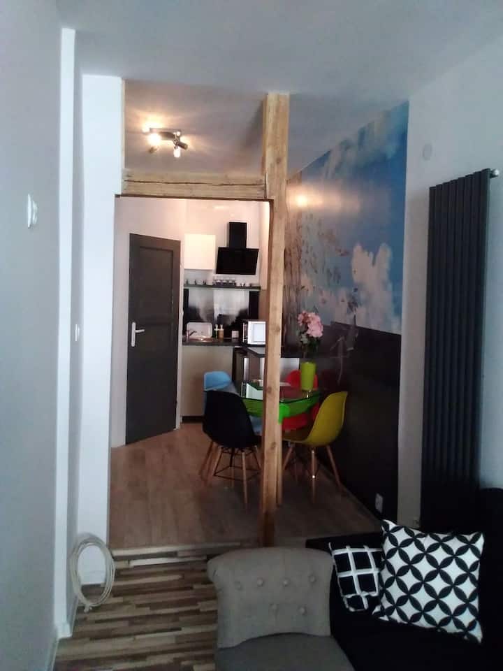 Apartament Muzyczny Studio - Stare Miasto - Toruń