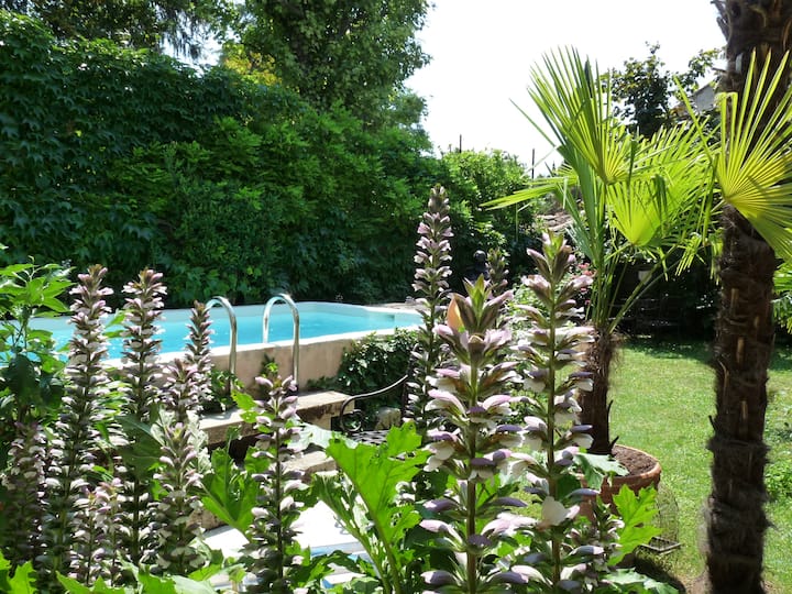 Les Tamaris Au Coeur De Vaison La Romaine - Vaison-la-Romaine