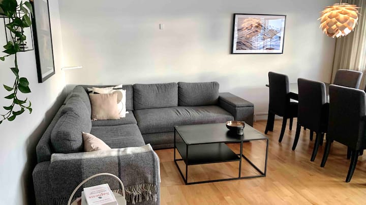 Central Family Friendly Apartment - Reykjavík