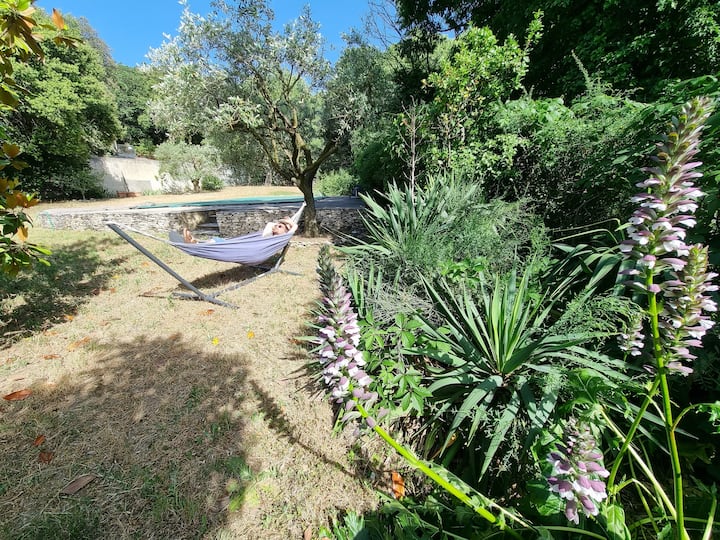 Belle Villa Avec Piscine Dans Un éCrin De Verdure - Bollène