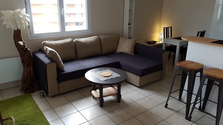 T2 (Loggia+parking) Nouvelle Mairie - Rives Du Lez - Montpellier