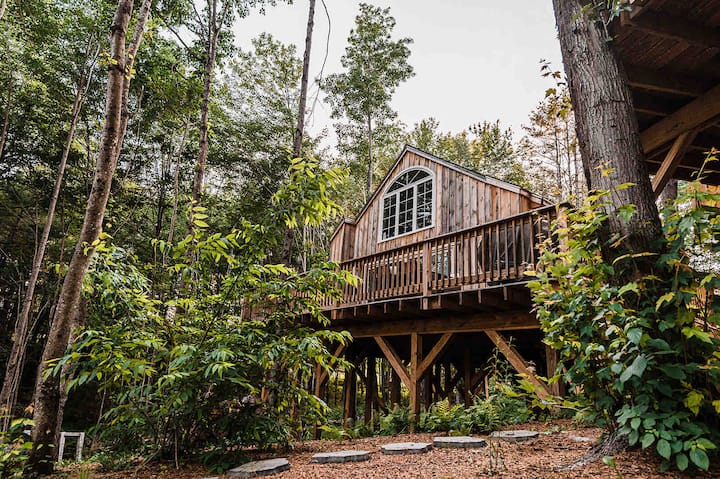 Treehouse rentals | Airbnb
