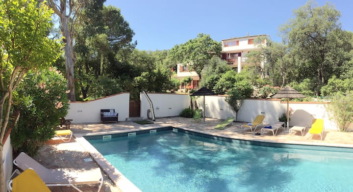 Gîte Chaleureux "Le Parc" Du Mas St Laurent - Argelès-sur-Mer