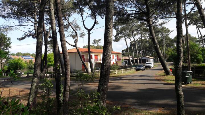 T2 Dans La Pinède, Proche De L'océan - Vieux-Boucau-les-Bains