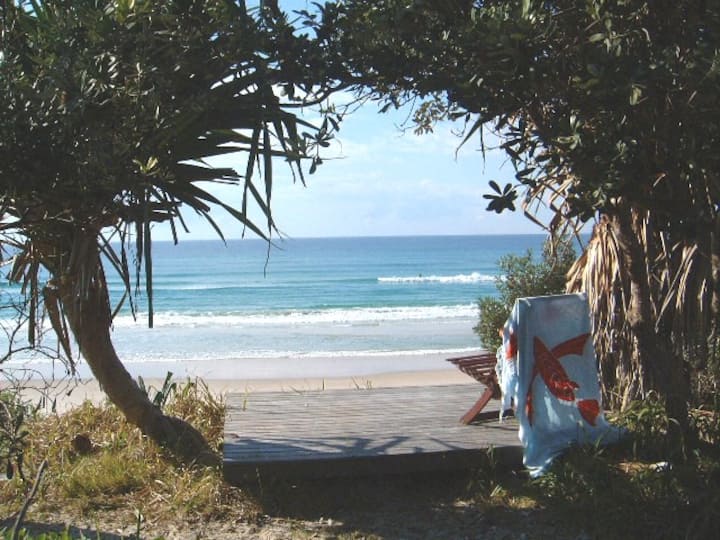 Banksias At The Beach, Byron Bay - Byron Bay