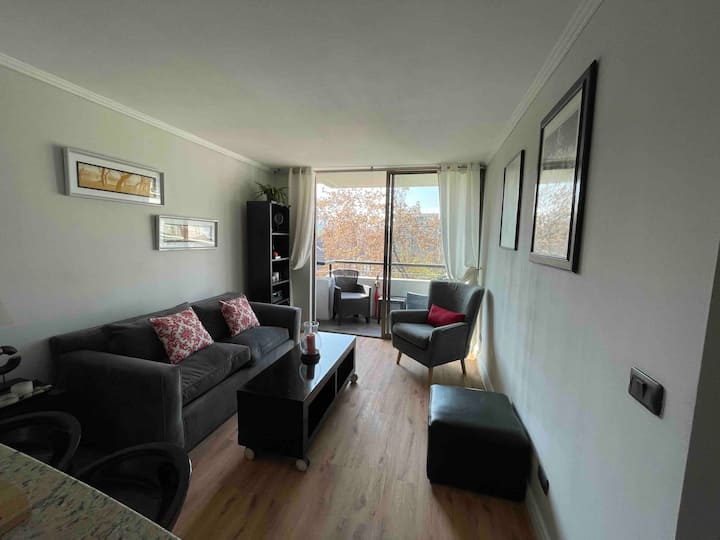 Apartamento En Providencia 2 Habitaciones, 2 Baños - Providencia