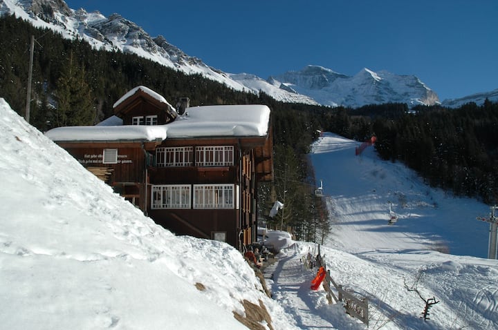 Saxifraga Chaletwohnung In Wengen - Mürren