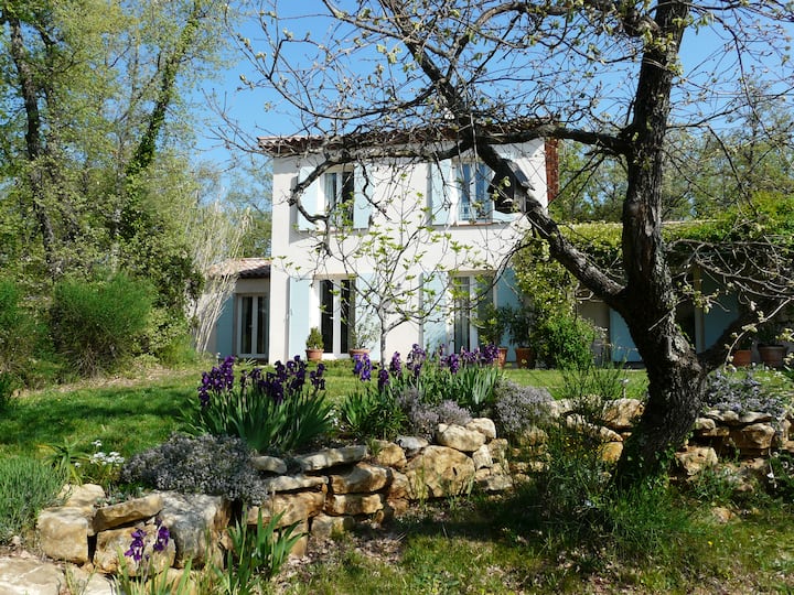 A L'ombre Des Chênes Et Des Pins - Brignoles