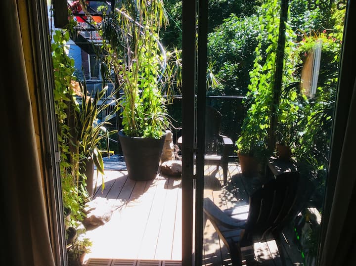 'Petit Laurier' - In The *Plateau* - Montreal