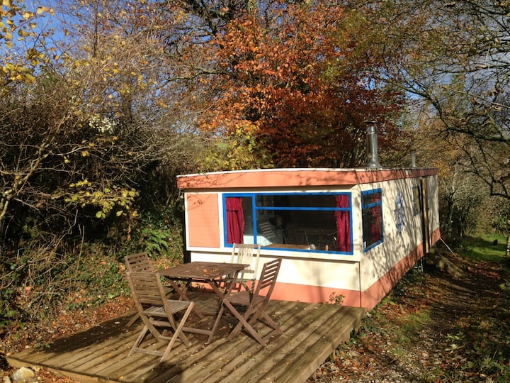 Cozy And Comfortable Private Caravan On Dartmoor - Dartmoor Forest