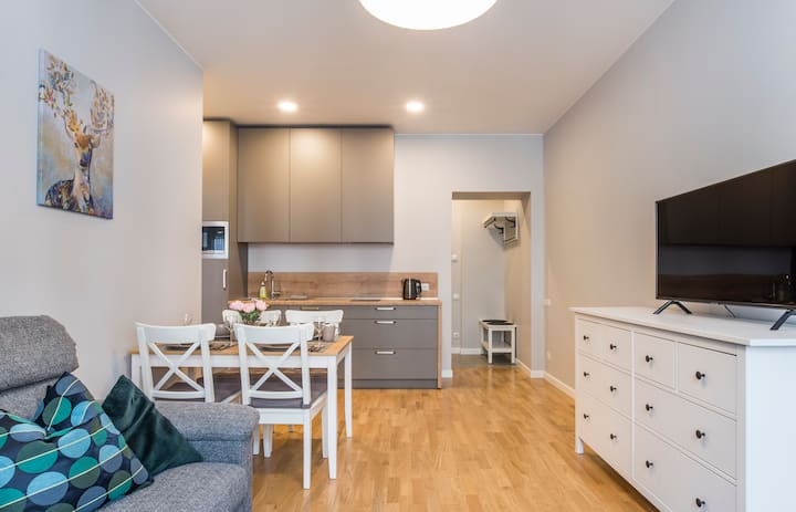 Cozy One-bedroom In Riga Center - Riga