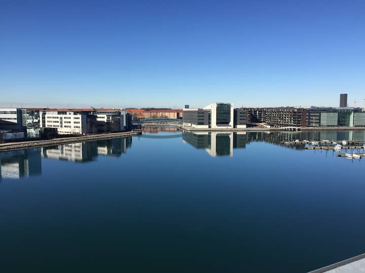 Luxury Residence With Phenomenal Views. - Copenhaguen