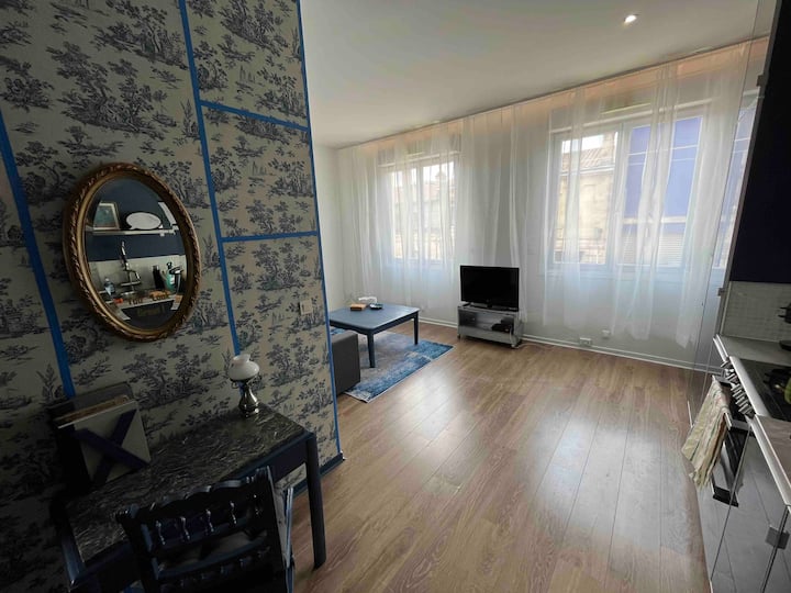 Stylish,  Bright, Near Transportation With A/c - Le Bouscat