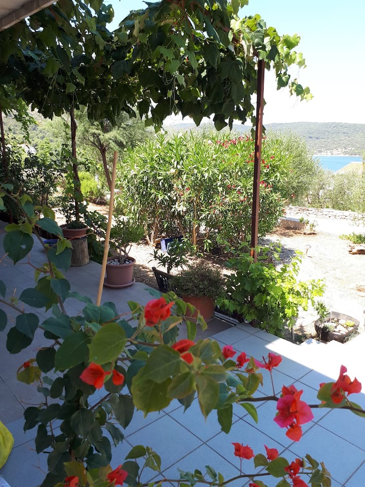 Vis, Ljubičasti Apartman, Issa-apartmani - Vis