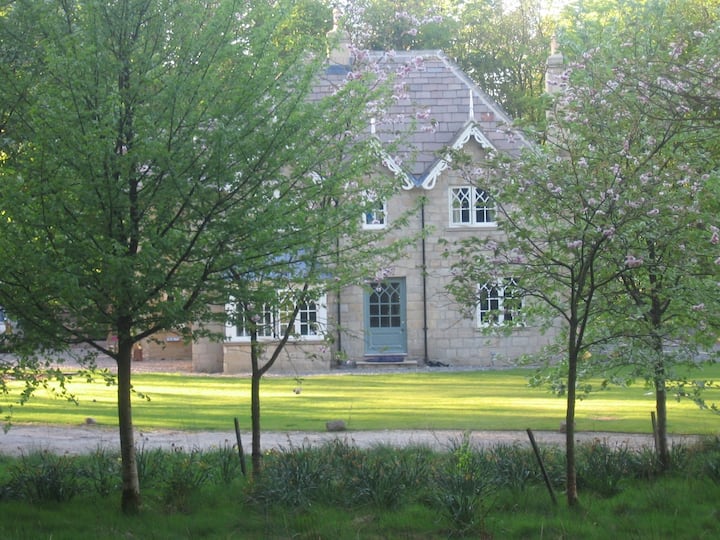 Beautiful Woodland Hideaway - Ripon