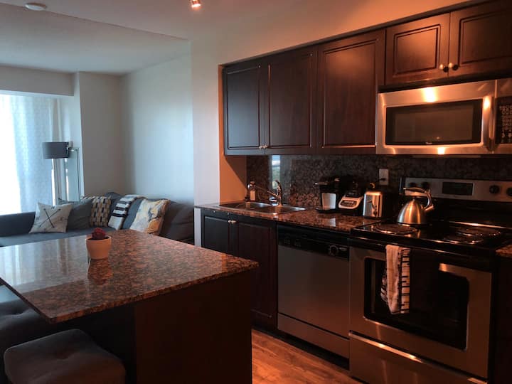 Lake View! Modern Downtown 1-bdr Condo - Toronto