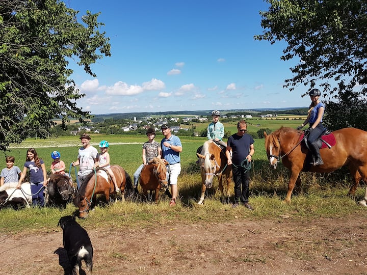 Og Ferienwohnung In Der Eifel Mit Pony Wanderung - Saint-Vith