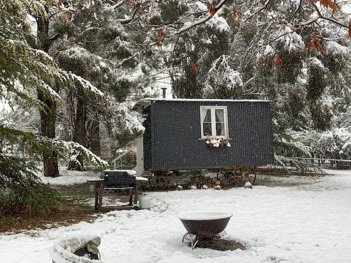 Unique Experience In Our Romantic Shepherds Hut! - Orange