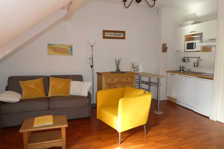 Charmant T2 Classé 3*** Vignec / Saint Lary - Aragnouet