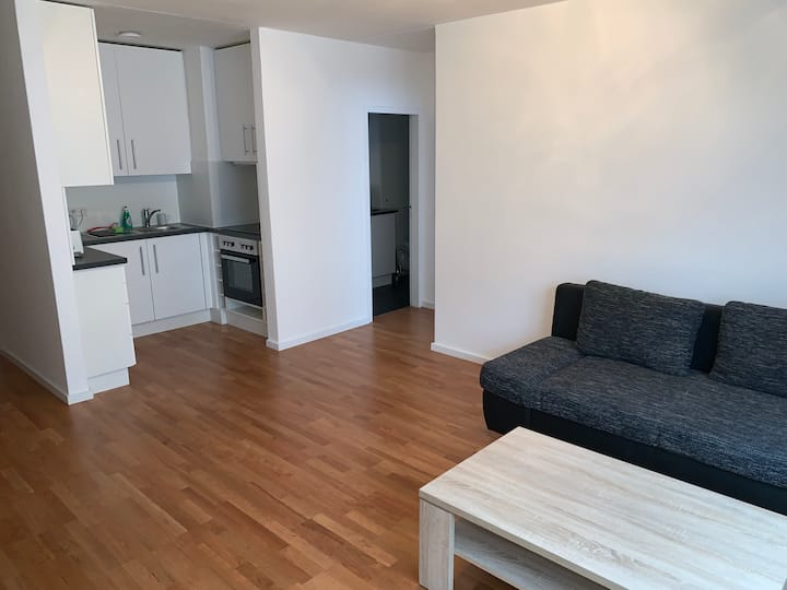 26-spacious Central 1-bd-apartment - Stuttgart