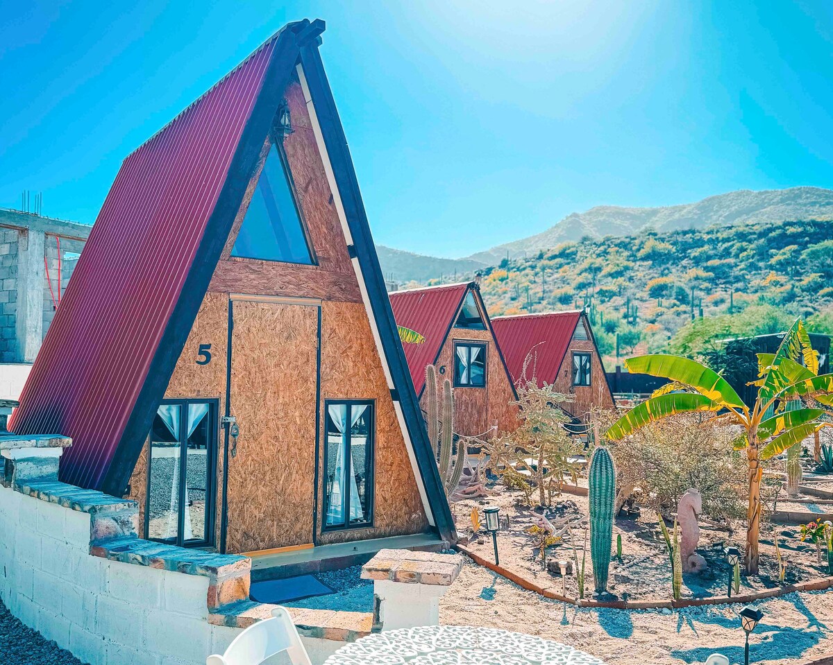 Mulegé Vacation Rentals & Homes - Baja California Sur, Mexico | Airbnb