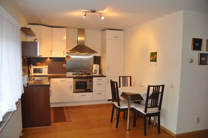 Perfect Location Close To Leiden, Flowers And Sea - Leiden