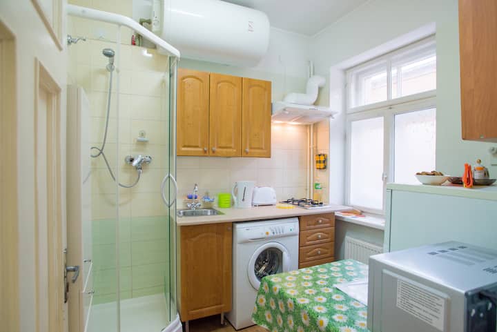 Mini 1 Room Apt In Riga Center - 裡加
