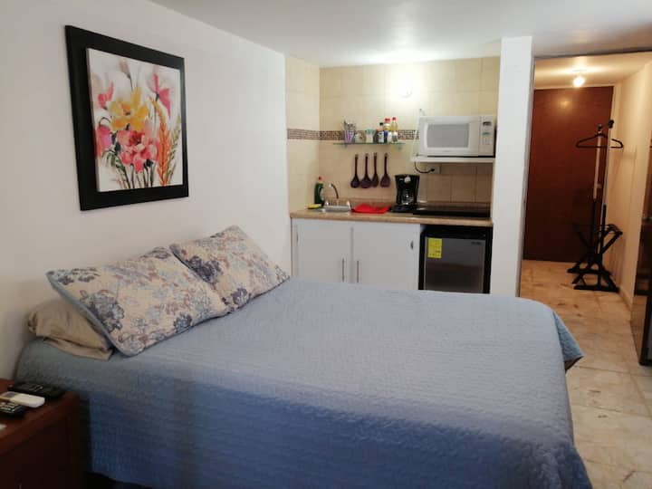 Loft Céntrico Cuenta Con Todas Las Comodidades. - Saltillo