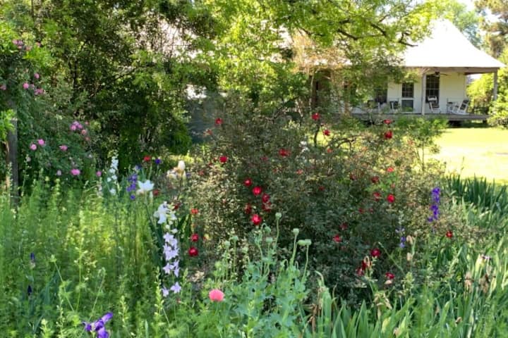 Historic Farm Stay Great Location! - 오스틴