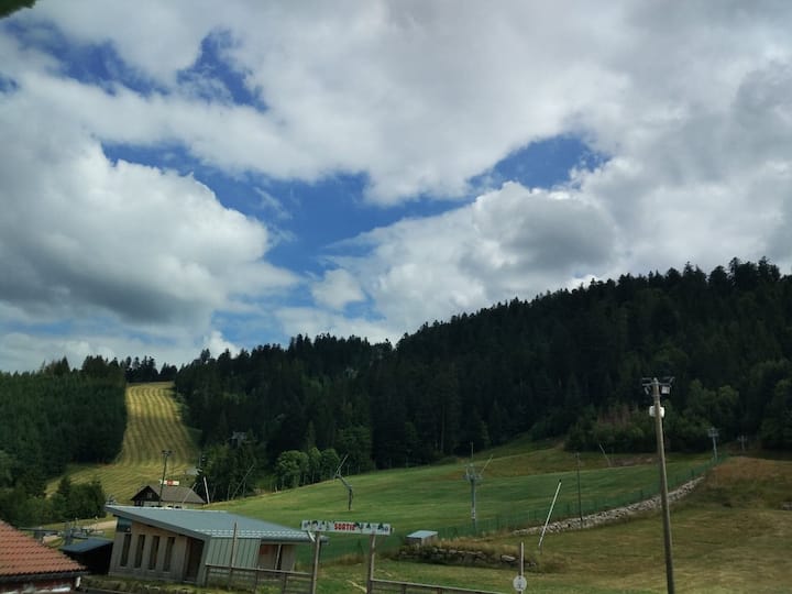 Appartement Spacieux «Sur» Les Pistes - Gérardmer
