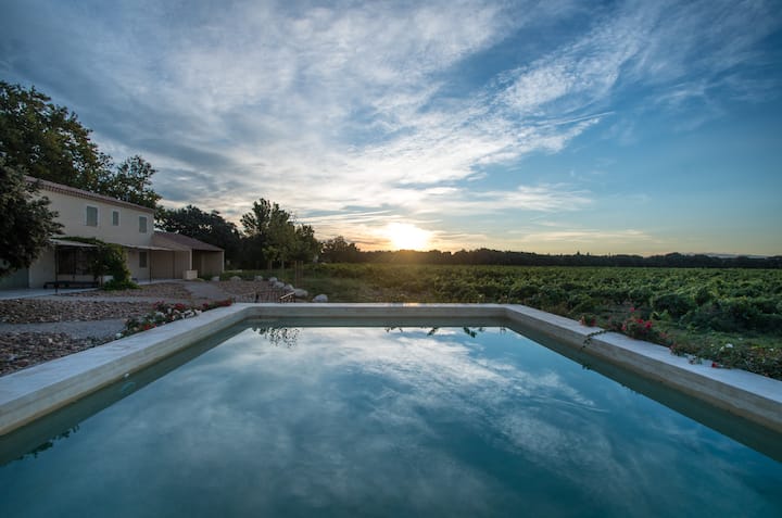 Gîte Au Coeur D'un Vignoble à 10 Km D'avignon ! - Le Thor