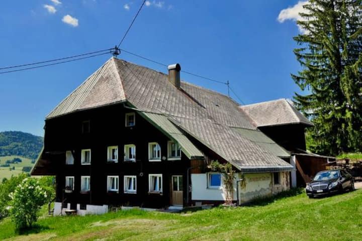 Schwarzwaldhof - Tolle Lage - Todtnau