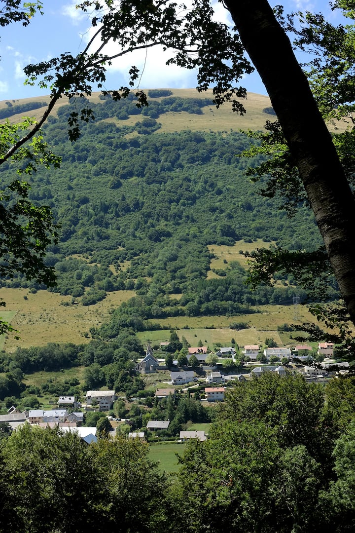 Au Calme, Entre Lacs Et Moyenne Montagne. - Séchilienne