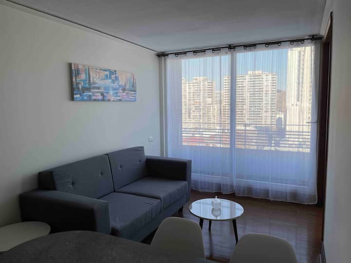 Central, Lindo, A Pasos De Todo! - Santiago