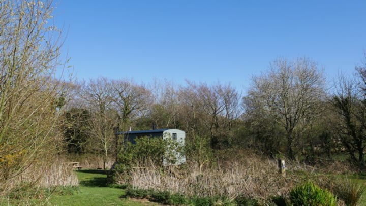 Cosy Shepherd's Hut Near Zipworld And Snowdon - Caernarfon