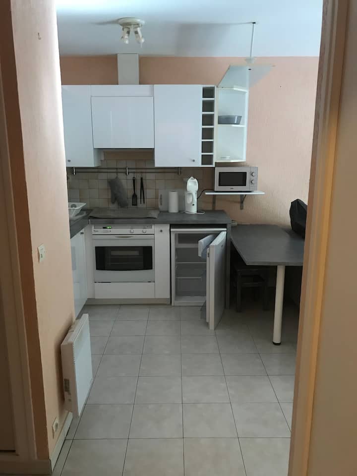 T2 Rdc Avec Jardin à 15mns De Paris Centre - Neuilly-Plaisance