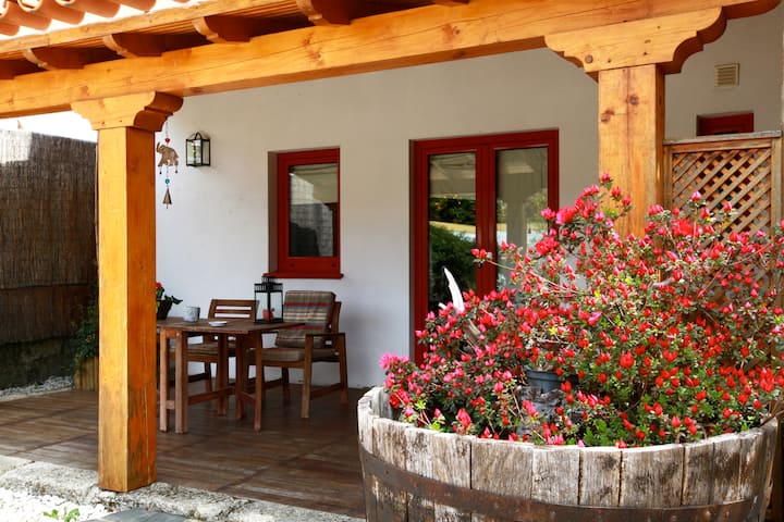Casa Ci - Casa De Campo - Travancinha