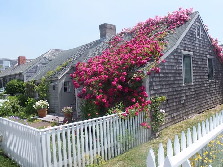 Historical Rose Covered Cottage With Ocean View - Nantucket, MA