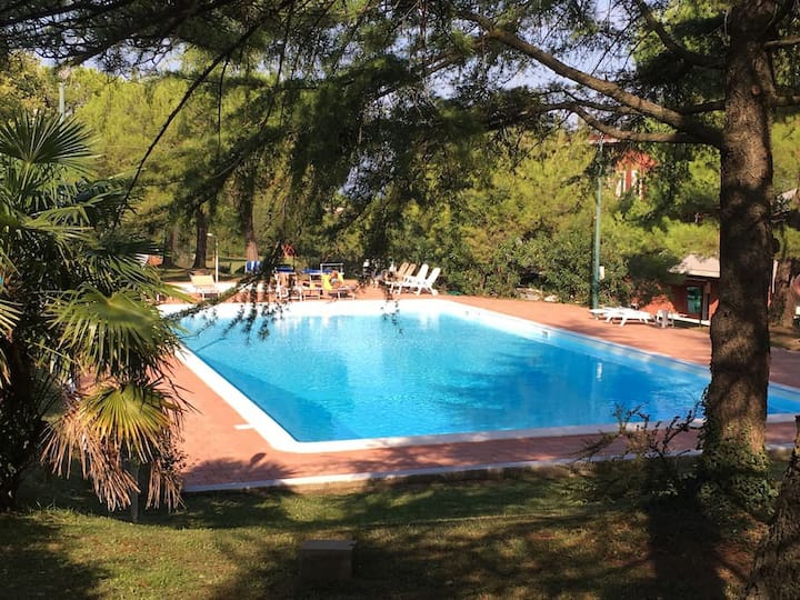 Soffione Location Fronte Lago It017067c22klvxykr - Gardasee